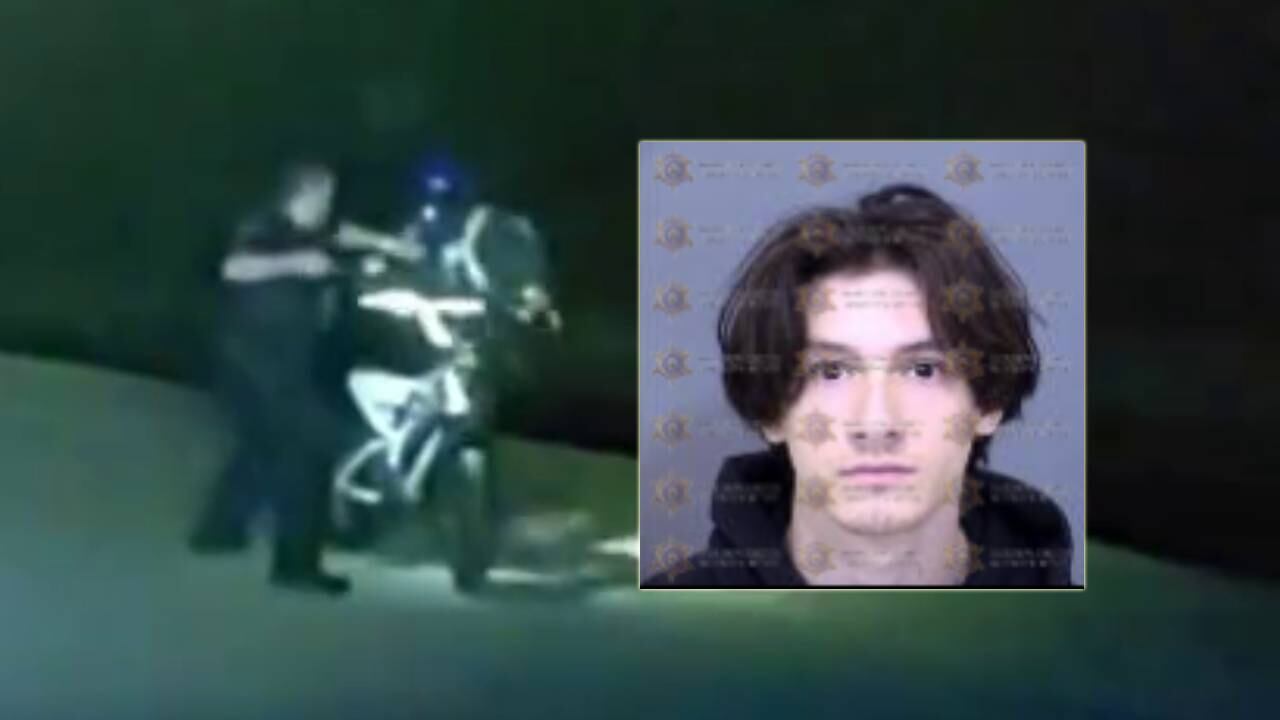 Watch: Gilbert police dashcam video shows arrest of e-bike robbery suspect
