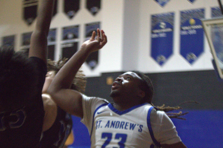 Savannah high school sports signings, see where local stars will play