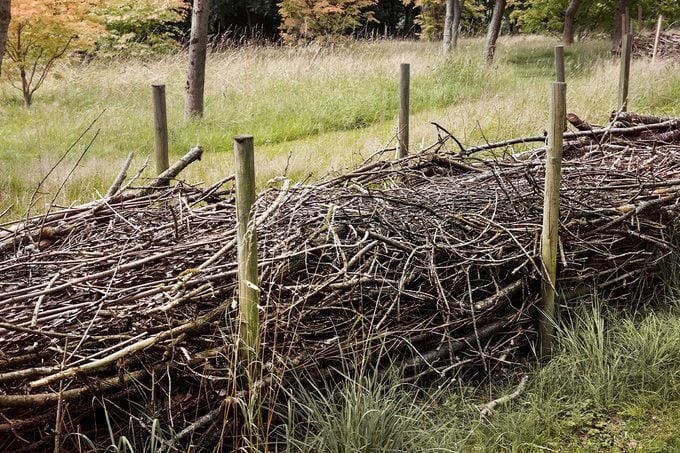 From fallen branches to functional fencing: Make a DIY dead hedge