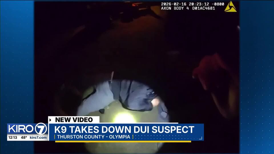Video: K9 takes down DUI suspect in Thurston County