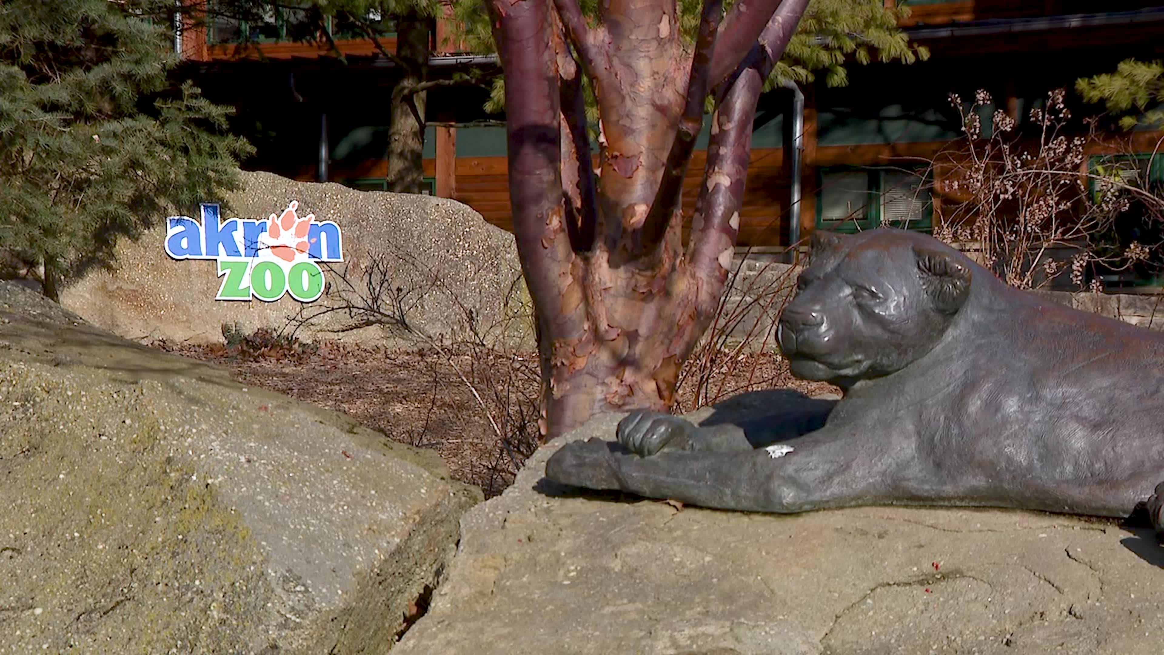 Akron Zoo plans $21 million expansion, adding more animals