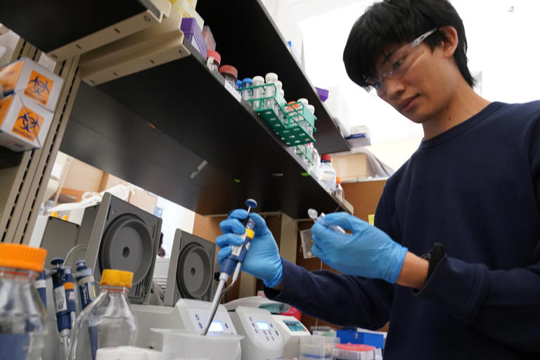 Undergrads expand the chemical toolbox for cancer drugs