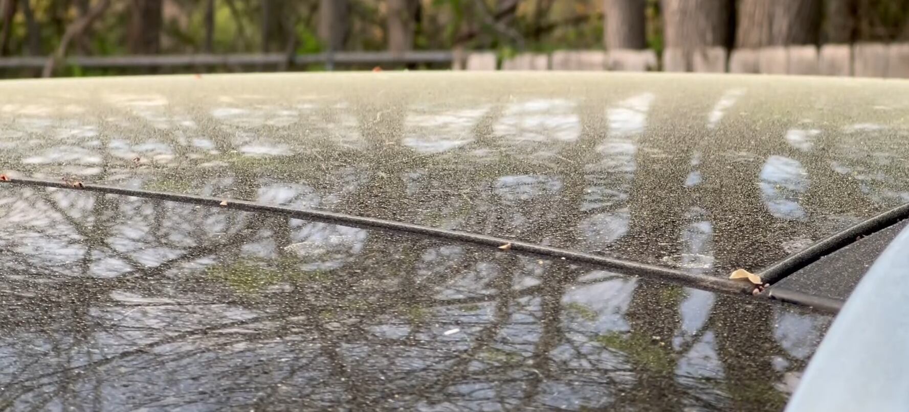 Pollen season arriving earlier, lasting longer in Georgia and Alabama