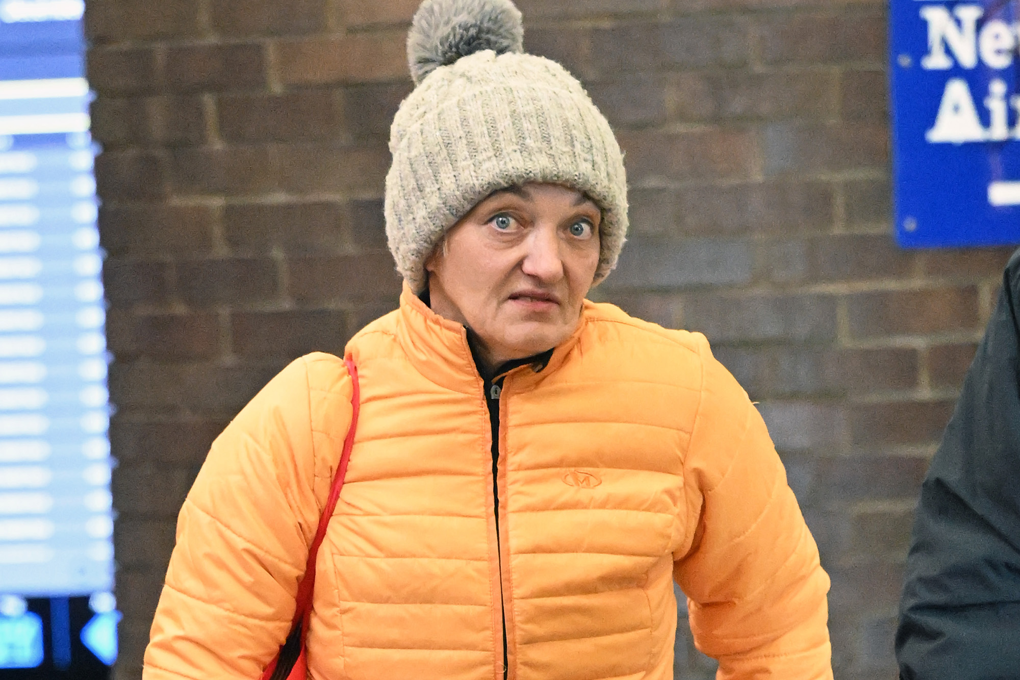 Convicted stowaway Svetlana Dali arrested again — after a new alleged ...