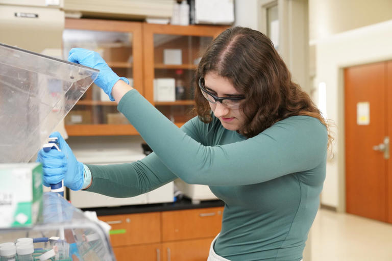 Undergrads expand the chemical toolbox for cancer drugs