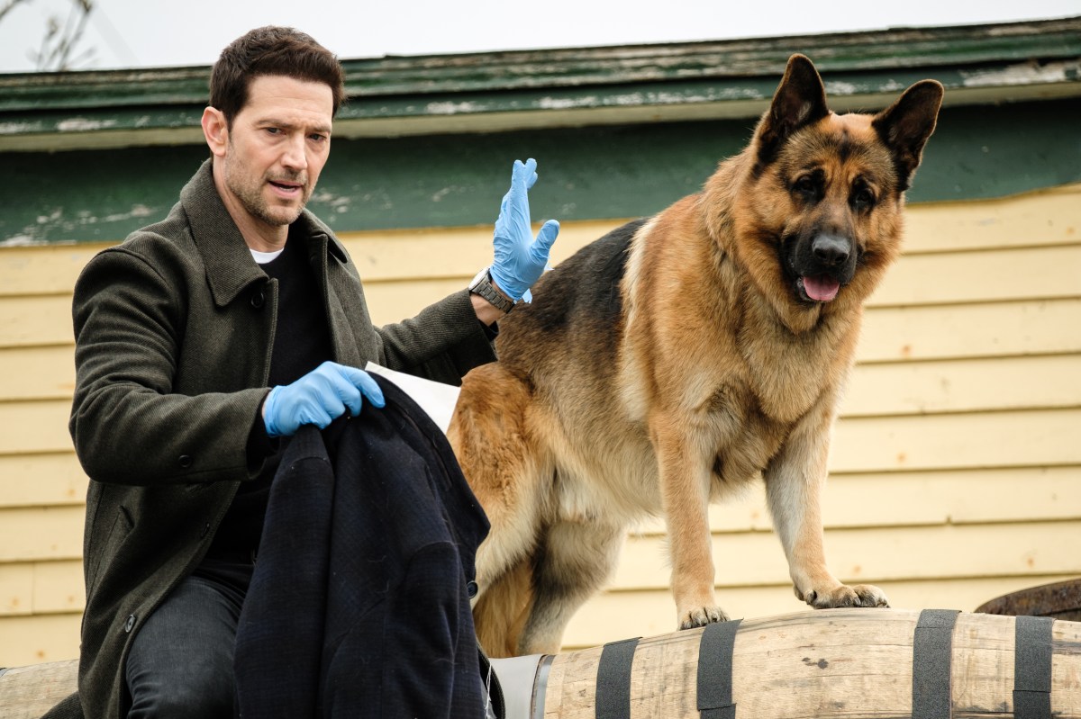 SBS On Demand: Best new shows & films streaming this week