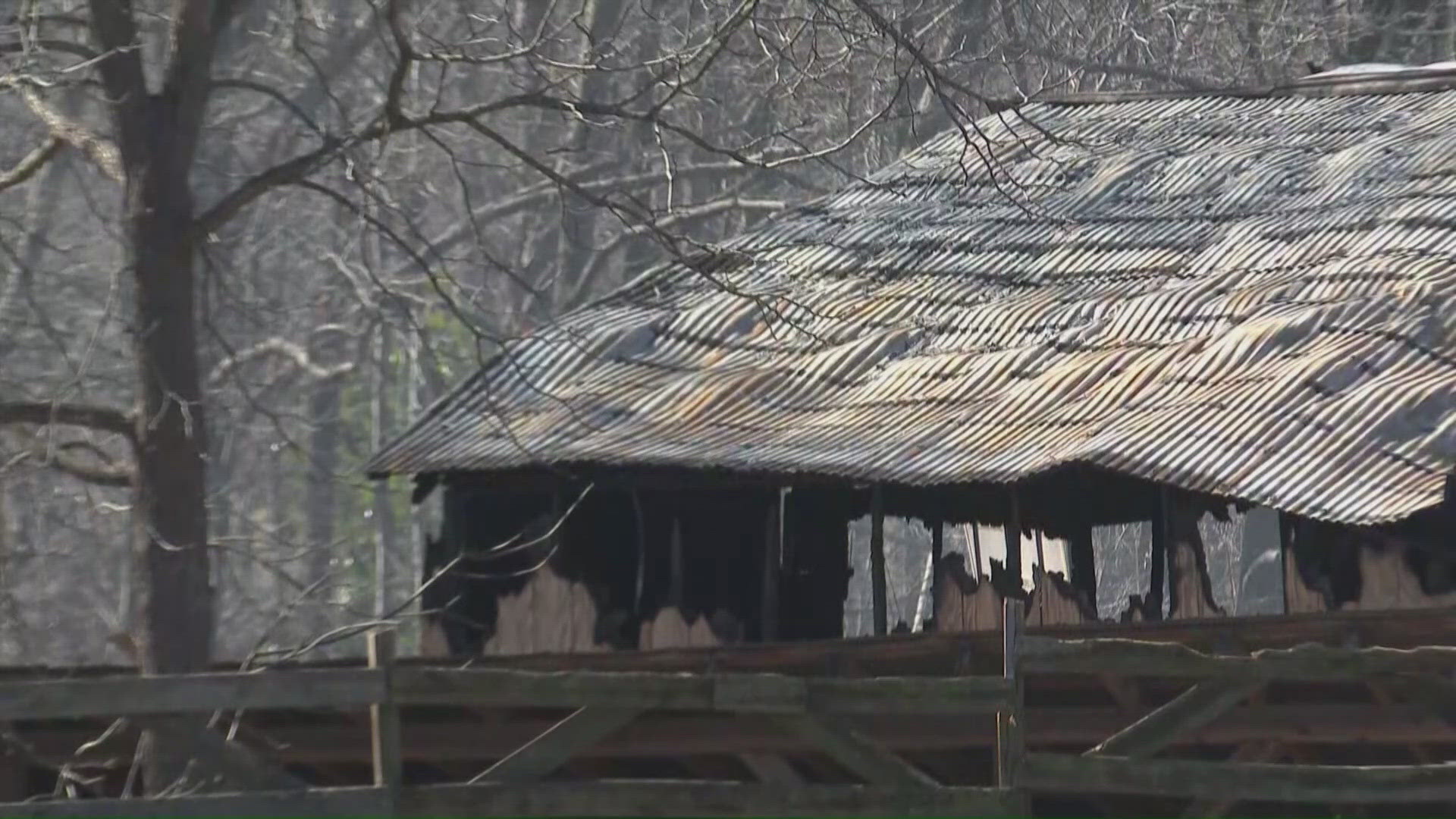 Callicutt Stables releases statement after barn fire kills over 30 horses