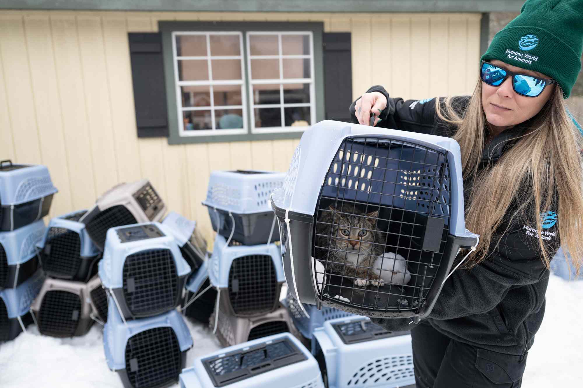 More than 100 cats saved in 'sad beyond words' rescue from alleged ...