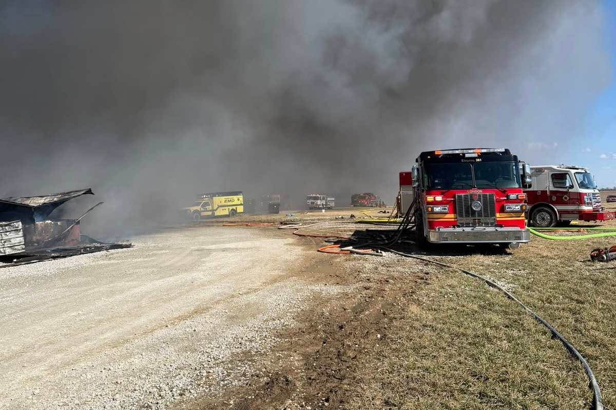 6,000 pigs killed after being trapped in barn during fire at Ohio farm