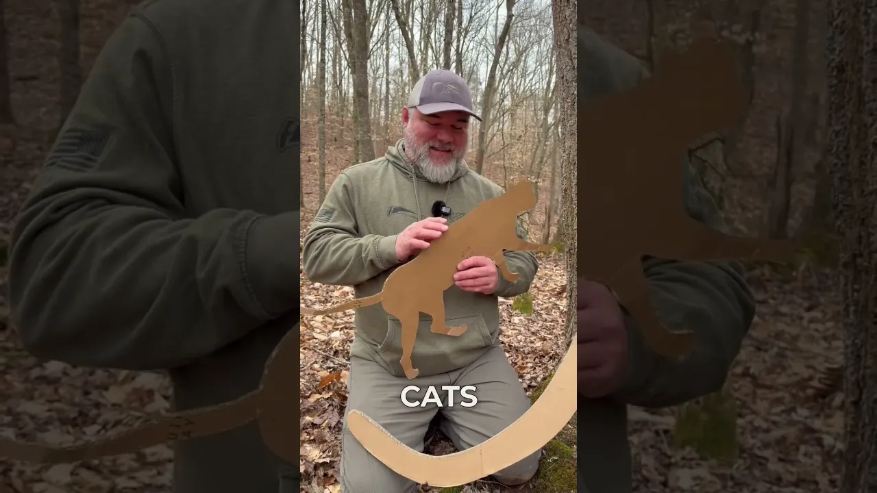 Is it a mountain lion? Learn to identify wild cats!