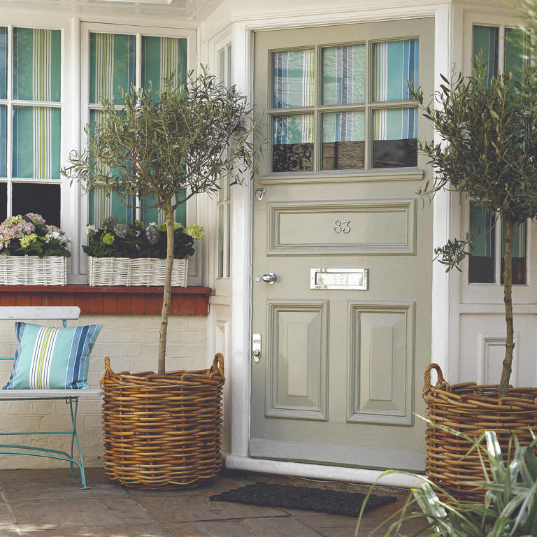 5 of the best Mediterranean plants for pots – feel like you're on ...