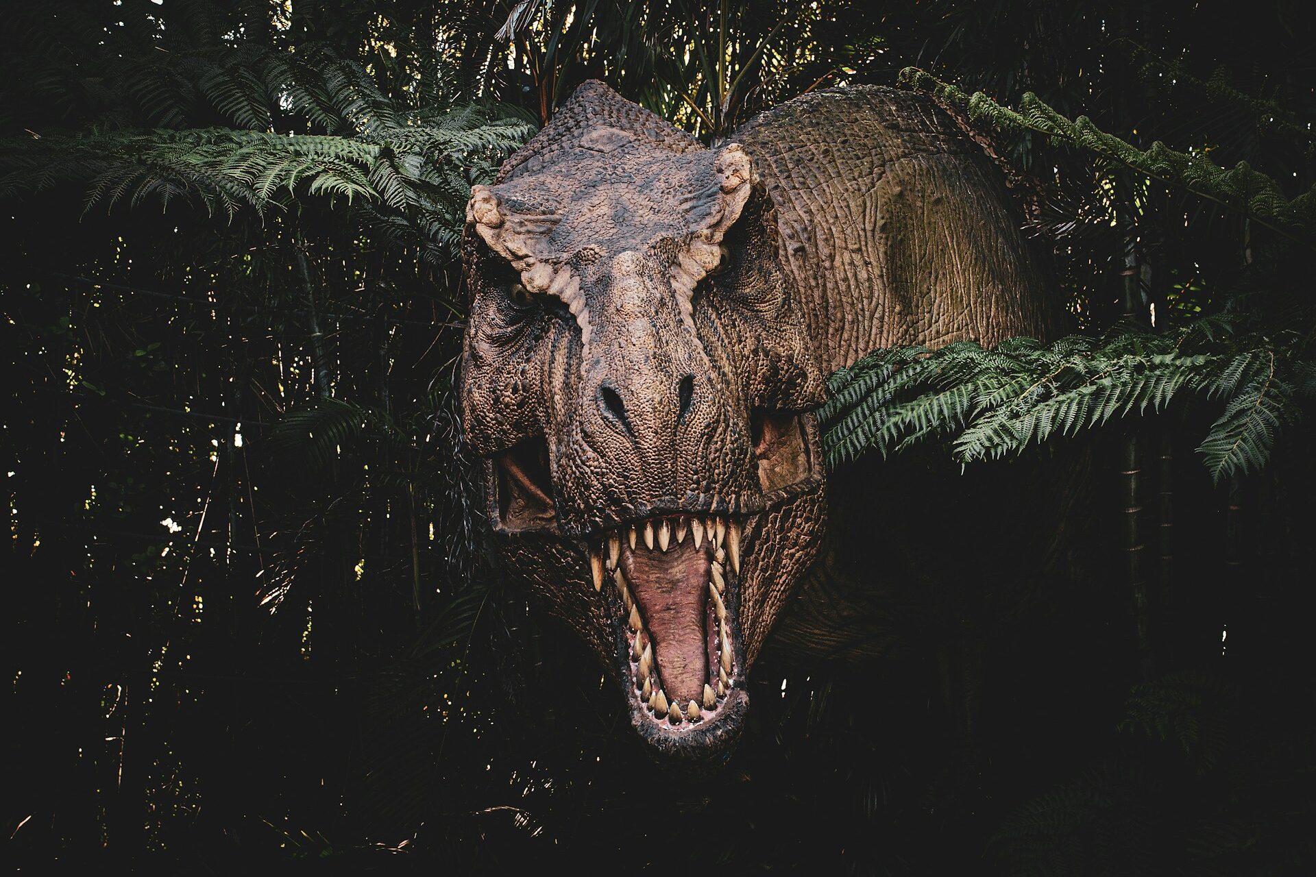 Did the T rex actually walk like a chicken does?