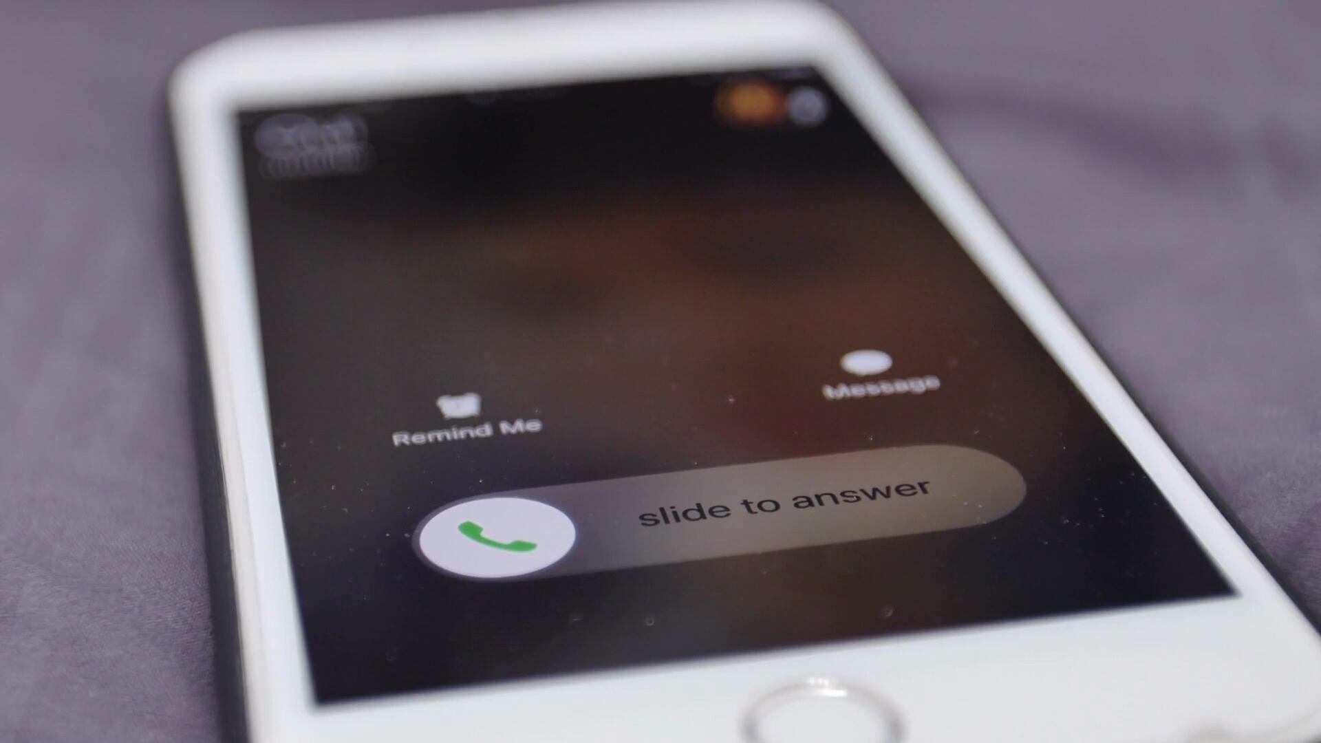 South Carolina woman arrested for alleged jury duty scam that cost Leon ...