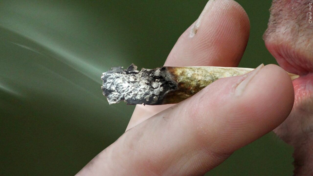 MI lawmaker wants to repeal new state marijuana tax