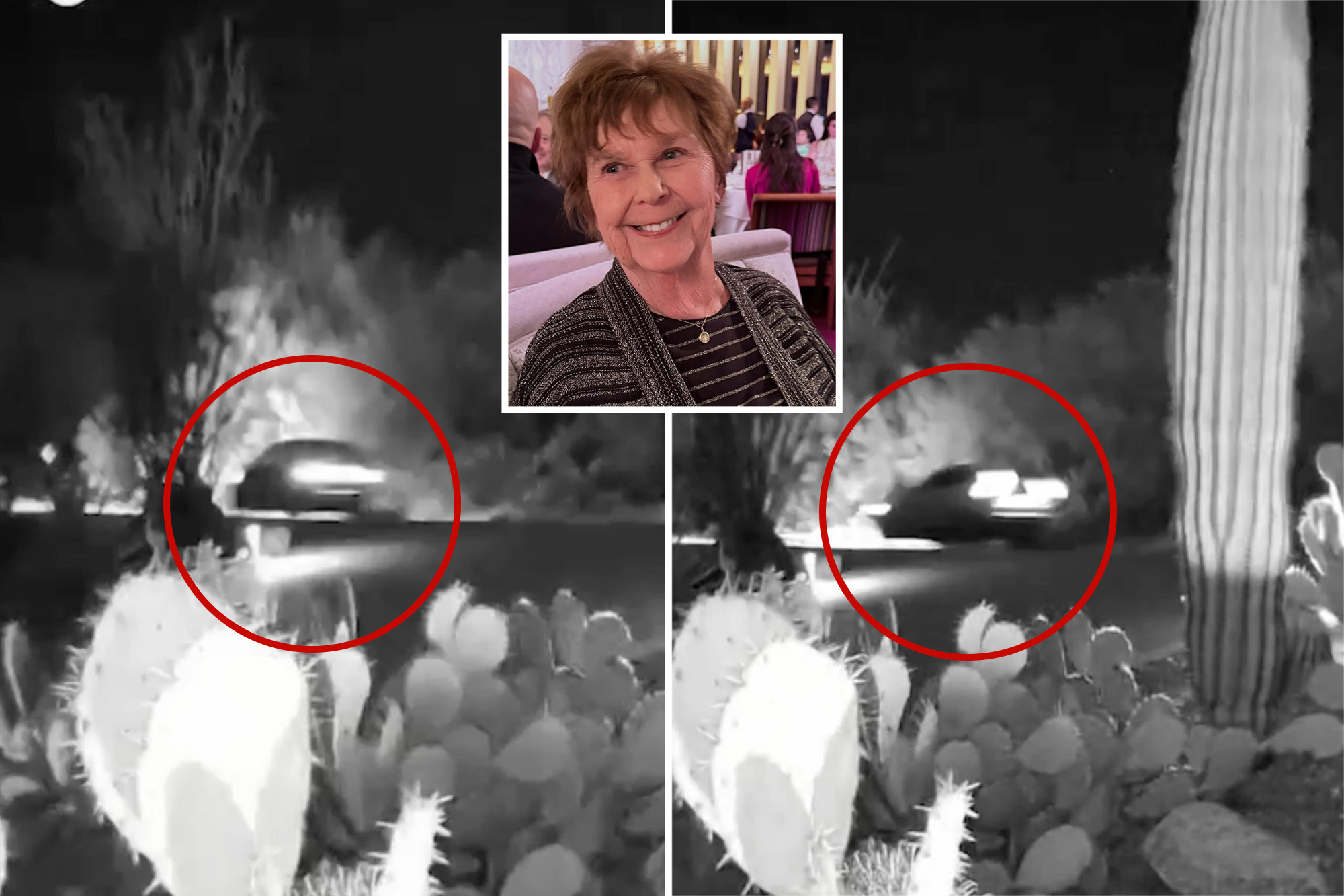 Never-before-seen video from Nancy Guthrie’s neighbor captures several ...