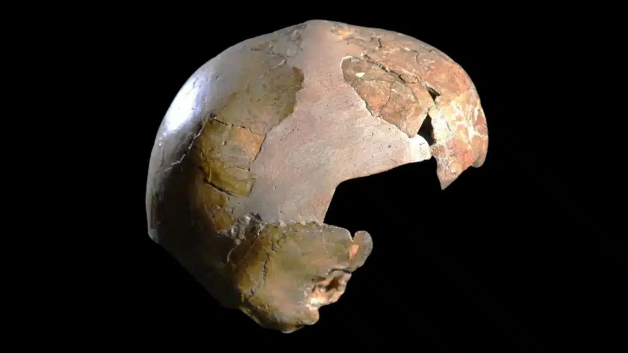 Scientists believe this ancient child belonged to an unknown species