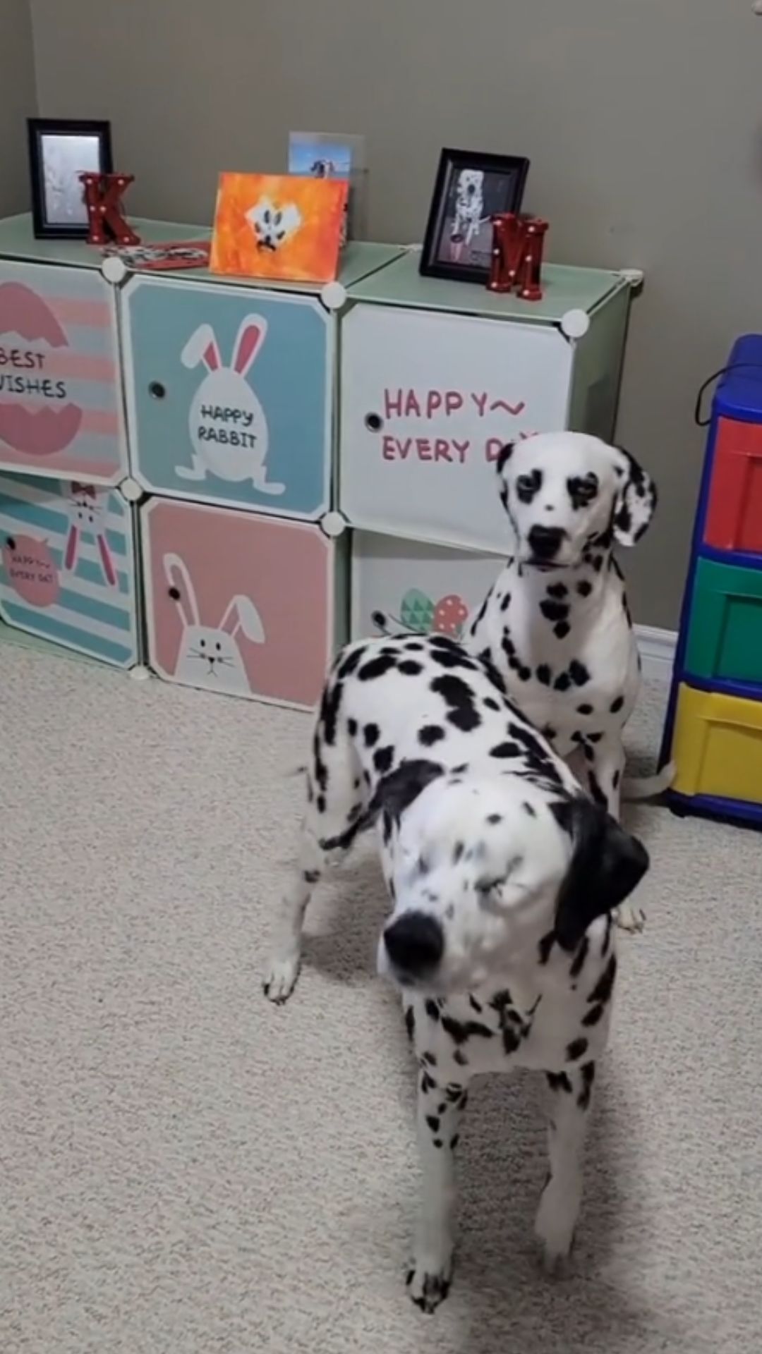 Dog mom moments pet lover trends everyone loves