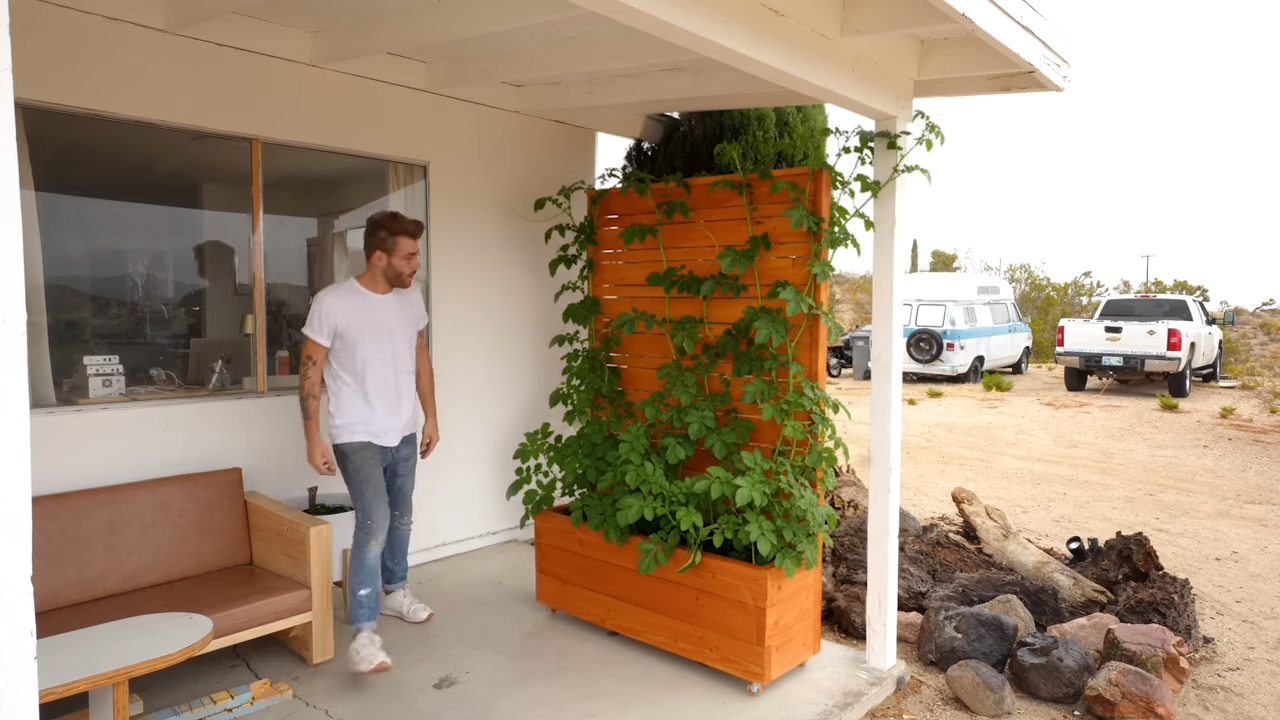 I built this planter... mostly to block my neighbor