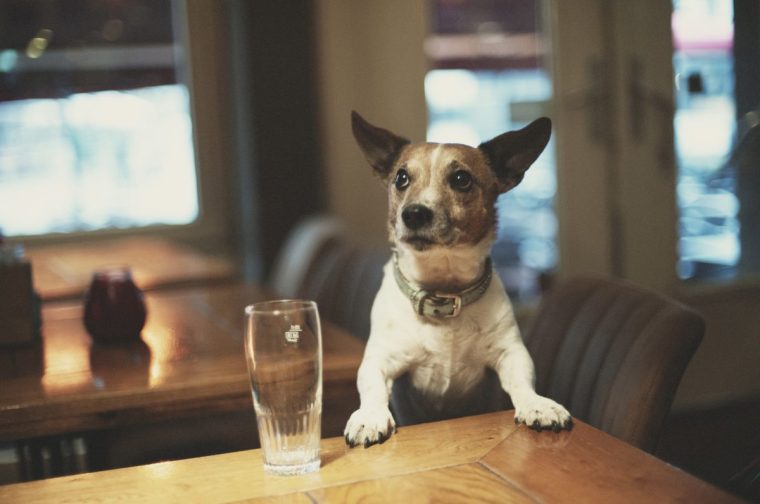 I’ve lived in the Cotswolds for 15 years – these are its best local pubs