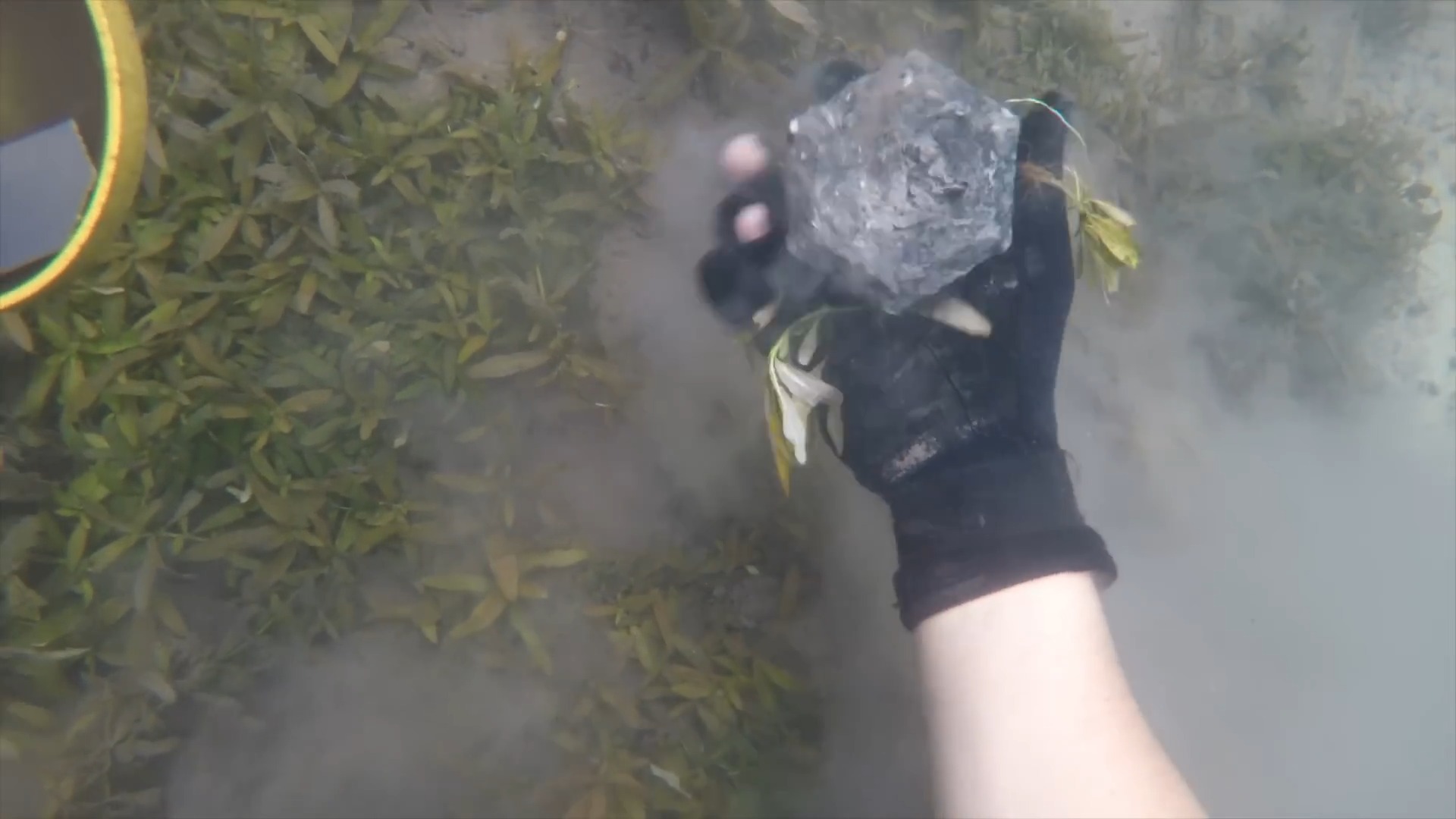 I went diving for trash and found someone’s entire photo library