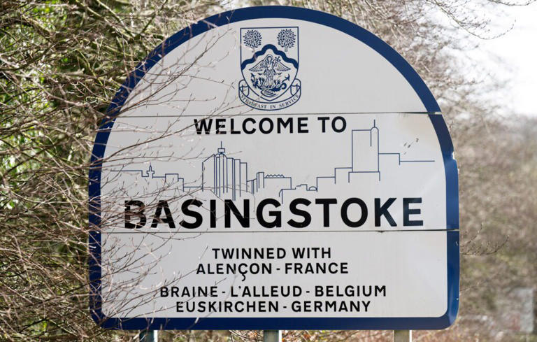 Basingstoke 'under siege from killer hornets travelling on the M3 in cars'