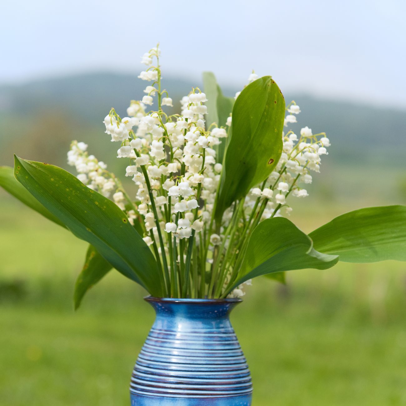 What's your zodiac sign’s lucky charm? - How to attract good fortune