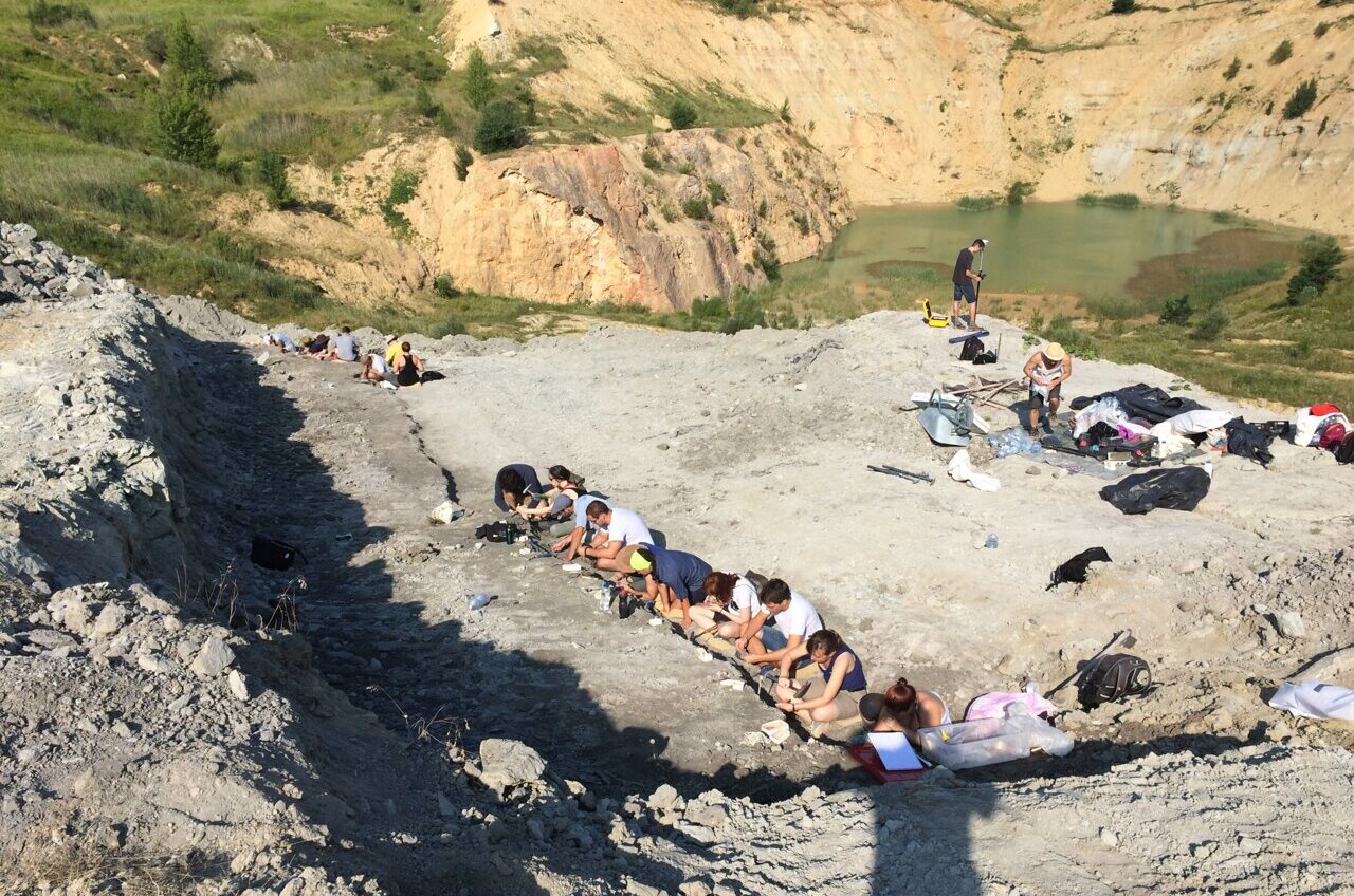 Newfound terrestrial crocodile fossil redraws the map of Europe in the ...