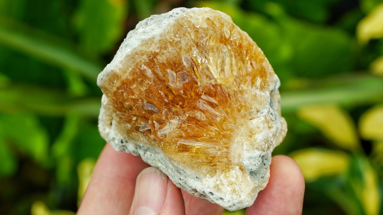 How he found crystals inside fossil shells