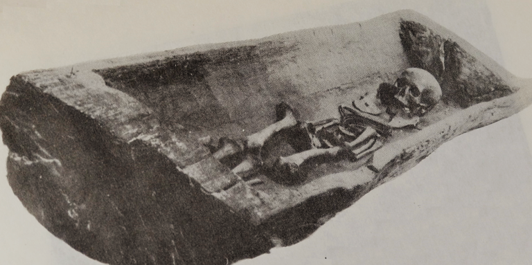 127 years ago, a coffin fell from the sky. Scientists just solved a ...