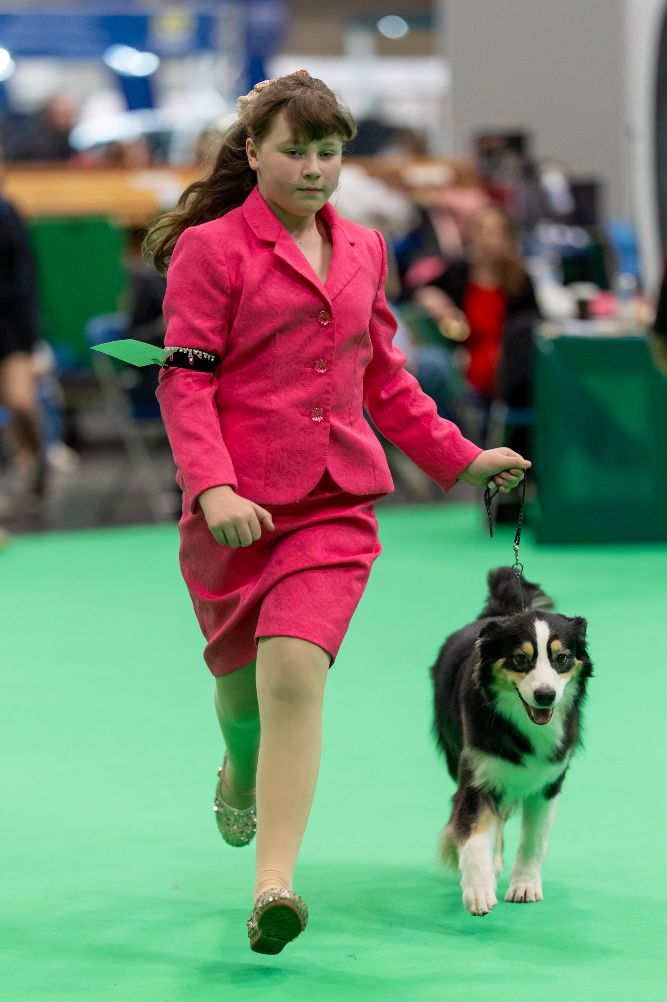 Crufts 2026 pictures: The best photos from day one with Working and ...