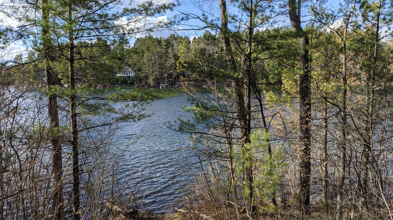 Between Detroit and Mackinaw City is a scenic Michigan community with ...