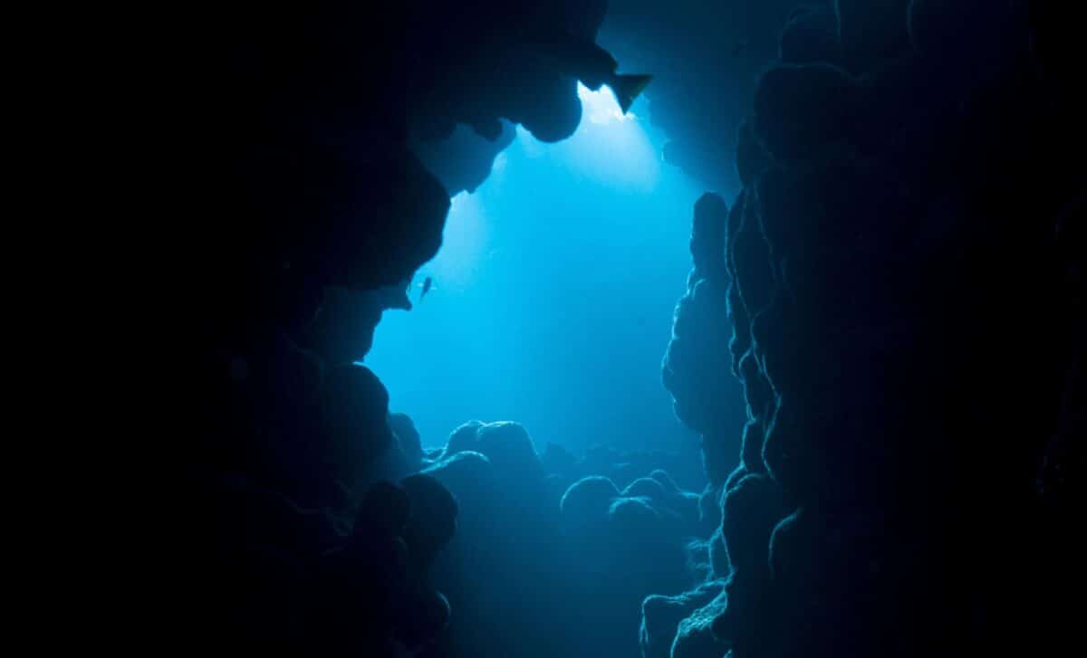 The Atlantic Ocean is hiding a 500-kilometer canyon, scientists may ...