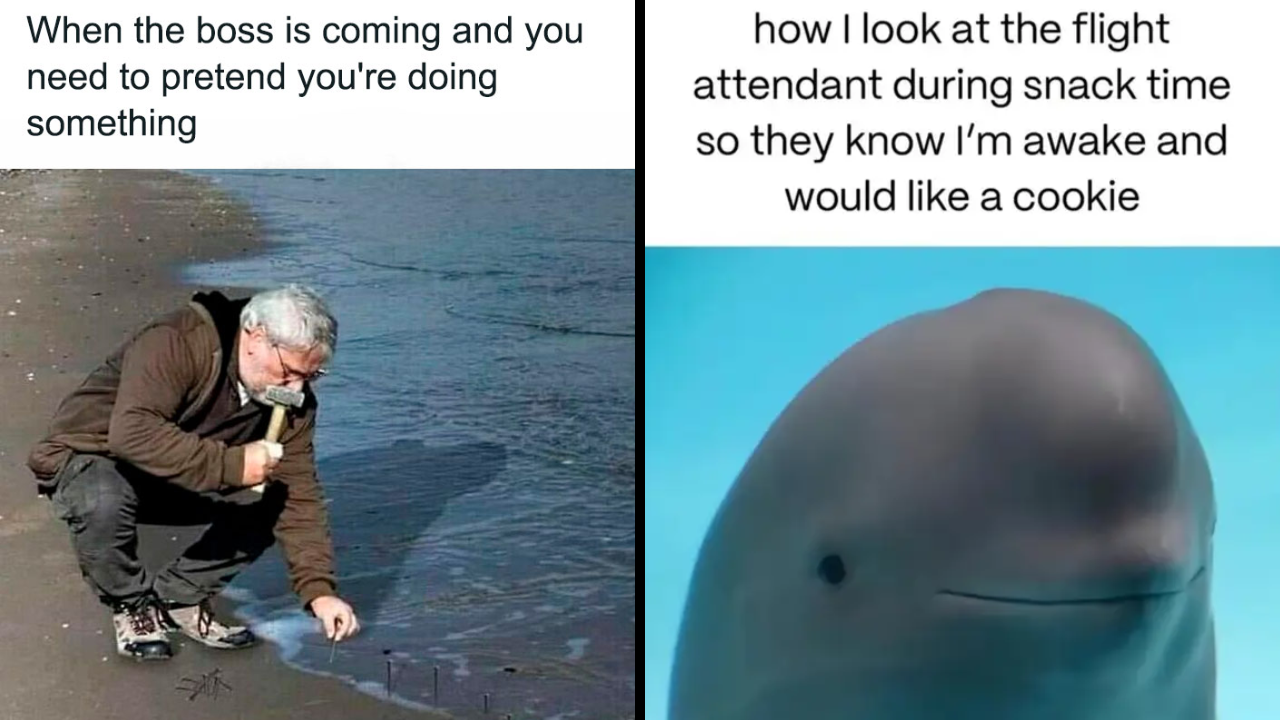28 memes that feel a bit too personal