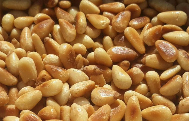 Quels sont les bienfaits du pignon de pin