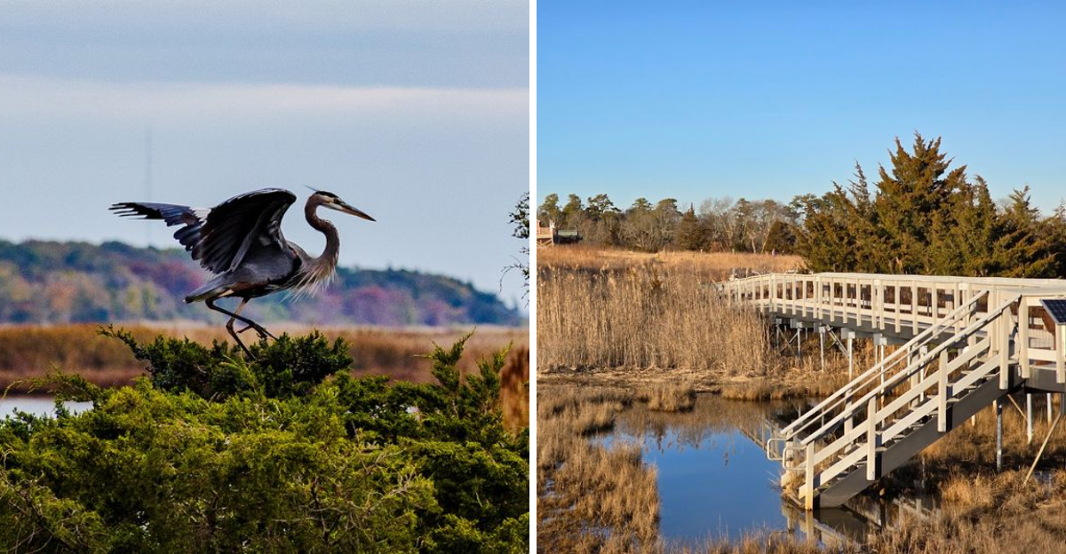 This 50-mile wildlife refuge in New Jersey is home to over 320 species ...