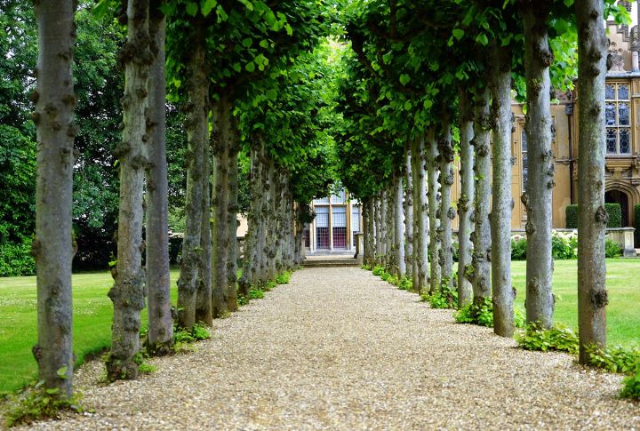 10 easy landscaping ideas for a hassle-free yard
