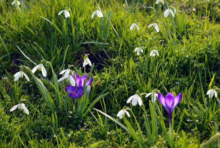 10 easy landscaping ideas for a hassle-free yard