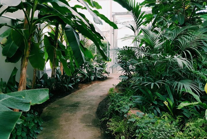 10 easy landscaping ideas for a hassle-free yard