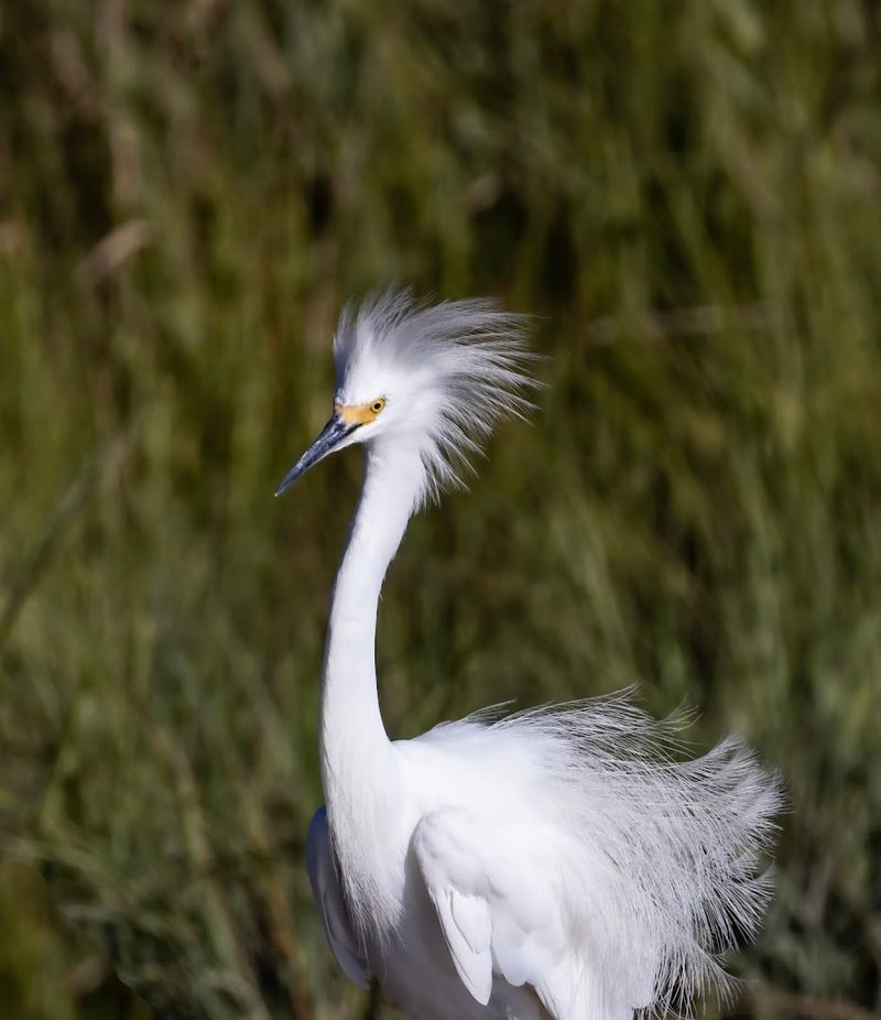 This 50-mile wildlife refuge in New Jersey is home to over 320 species ...