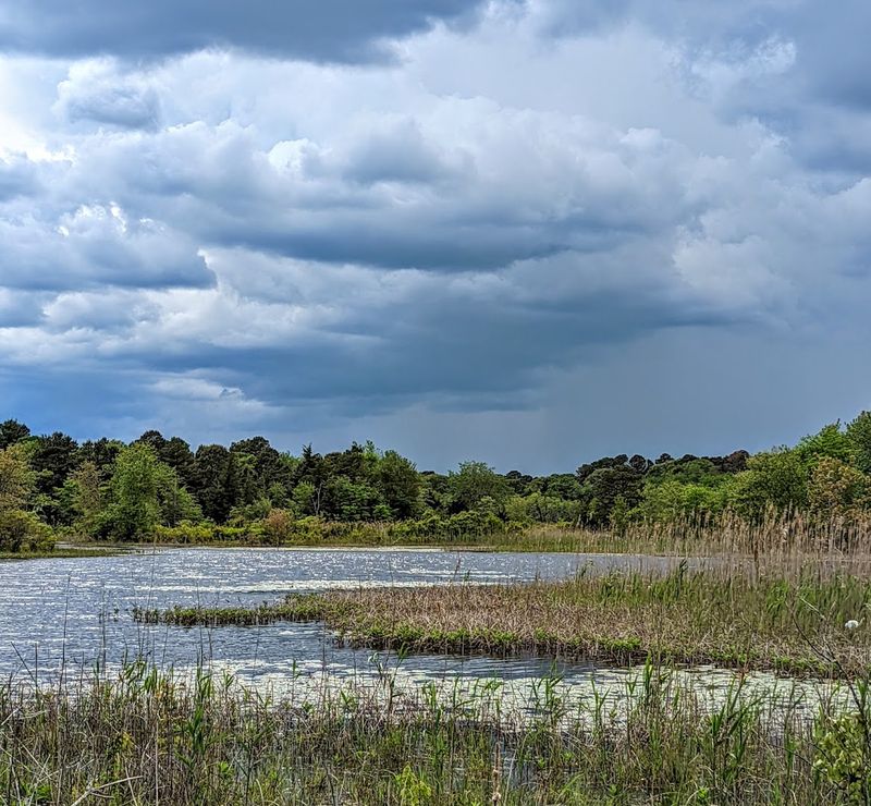 This 50-mile wildlife refuge in New Jersey is home to over 320 species ...