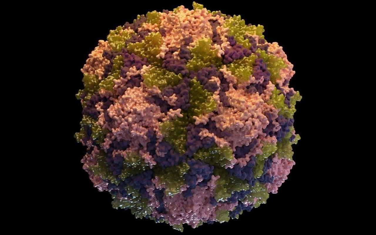 Travel health advisory issued for 32 nations: What to know