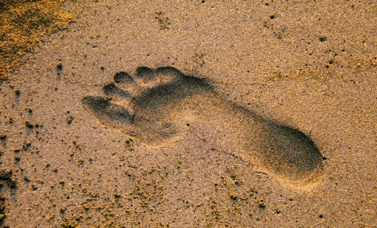 A couple of dog walkers discovered human footprints in the sand, but ...