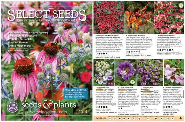 10 seed catalogs every gardener needs