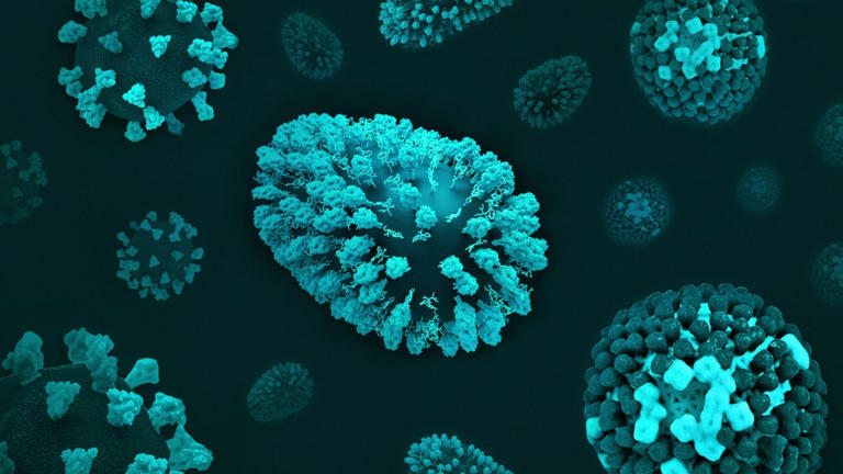 Terrifying new virus erases your immune system’s memory, experts warn