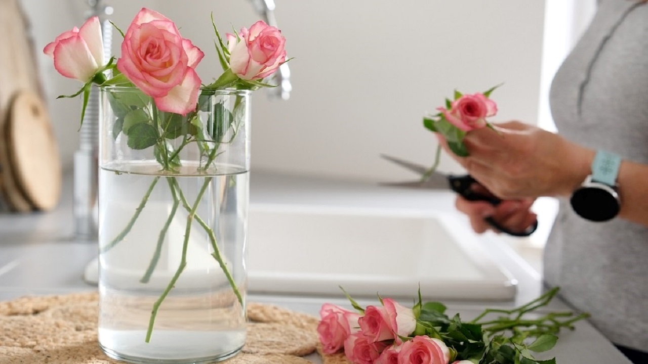 « Elles tiennent beaucoup plus longtemps » : versez ce liquide dans ...