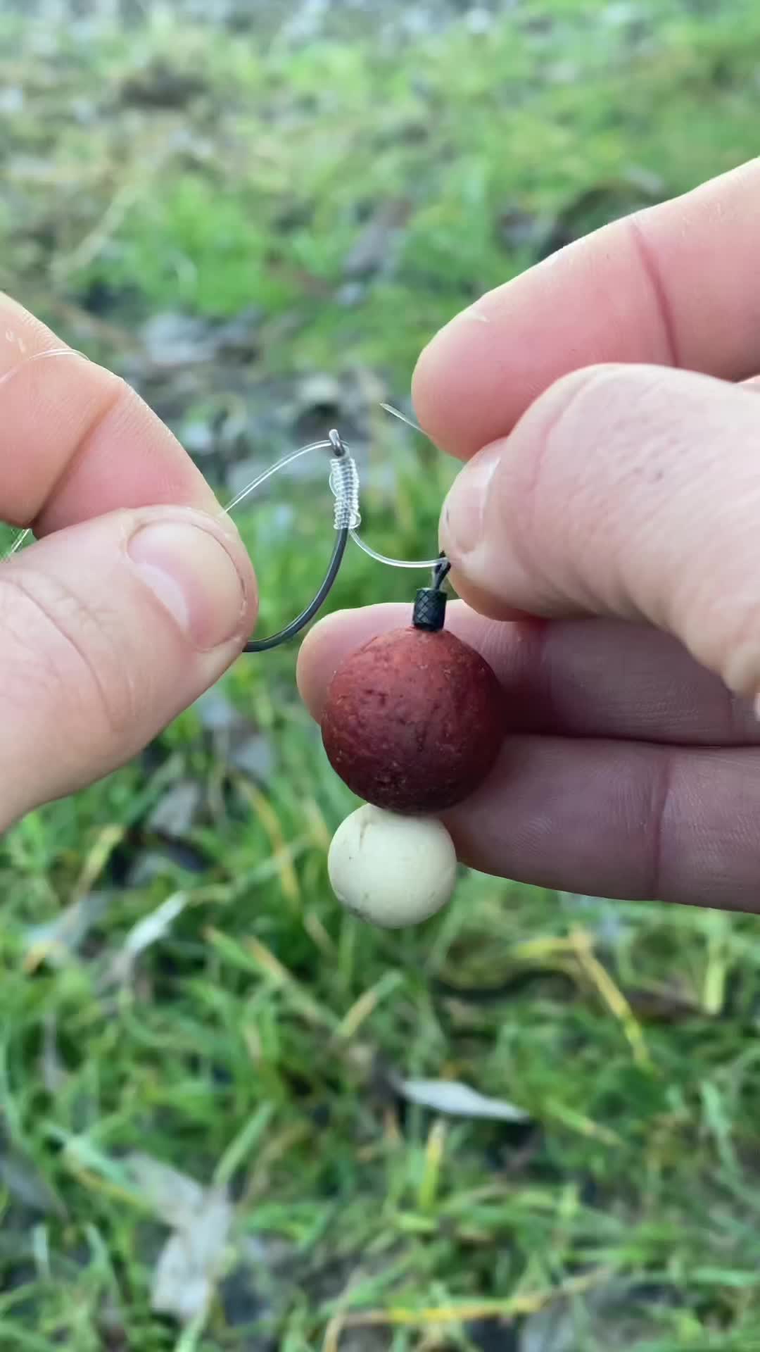 Land big catches – viral fishing moments