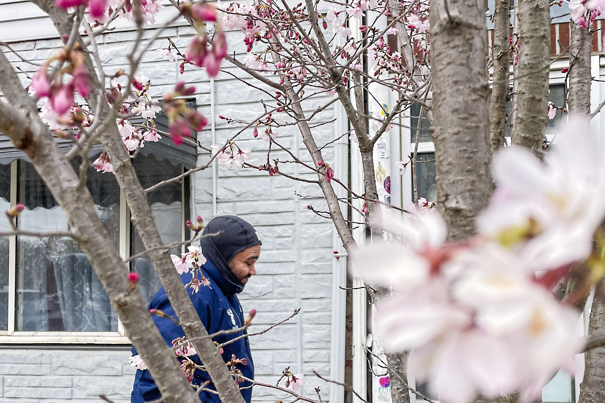 After an actual winter in the Philly region, plant life may see the impacts
