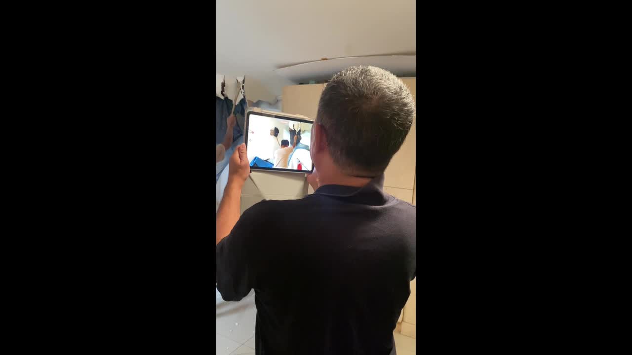 Huge monitor lizard removed from family's living room ceiling