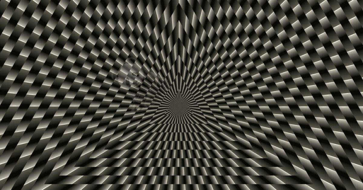 Look closely! A hidden animal is waiting to be spotted in this tricky ...