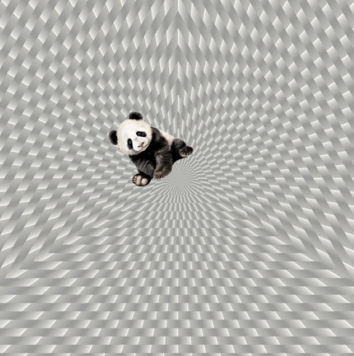 Look closely! A hidden animal is waiting to be spotted in this tricky ...